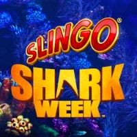 Slingo Shark Week gratis spelen. Lees de Review + Speluitleg ☑️